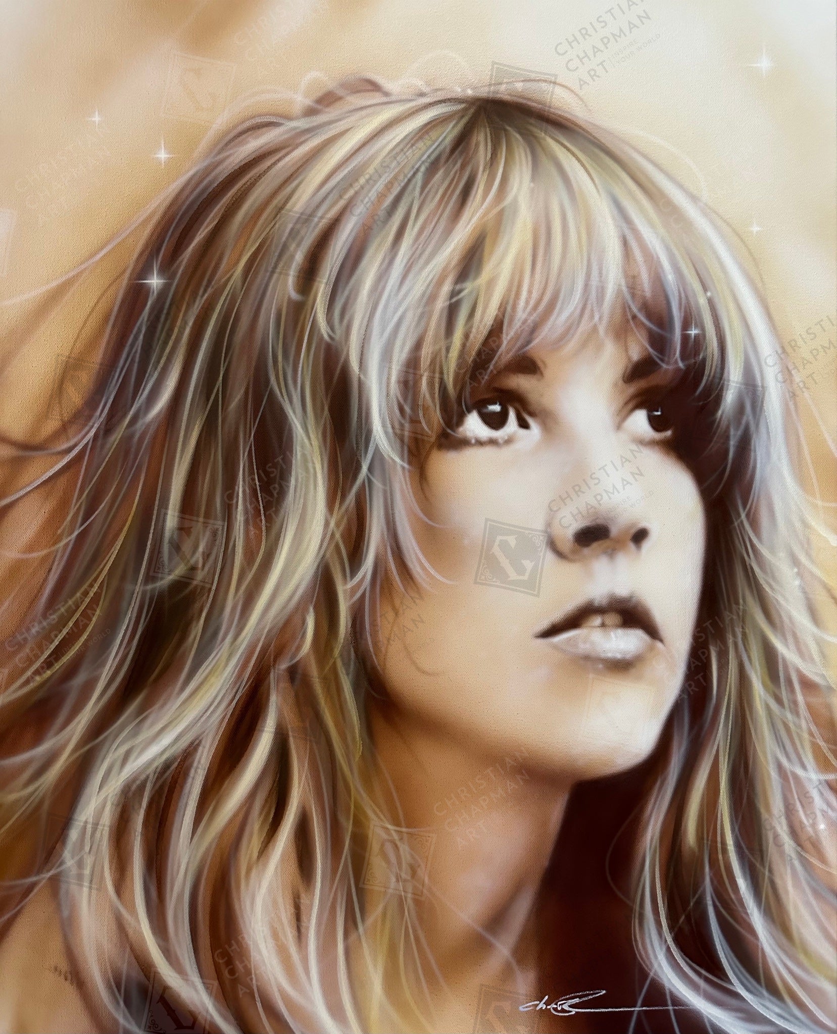 Fleetwood Mac | Christian Chapman Art